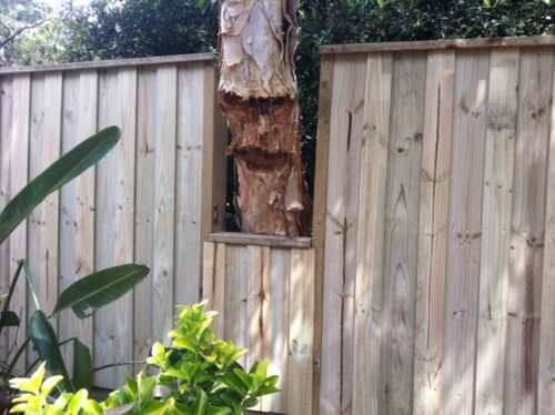 Timber Fencing - Knockout Fencing